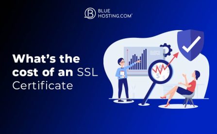 The Cost of SSL Certificates - Cheap SSL Certificate